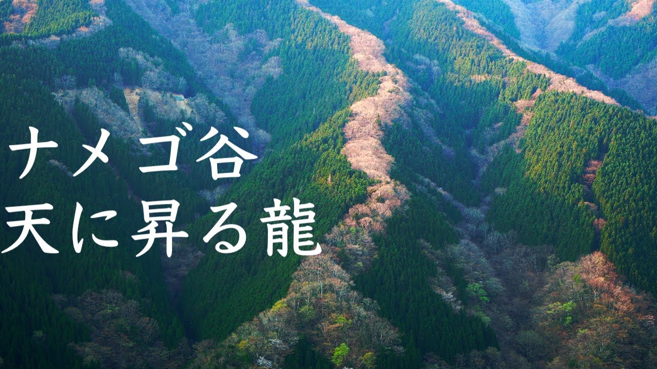 ナメゴ谷 2023 - YouTube