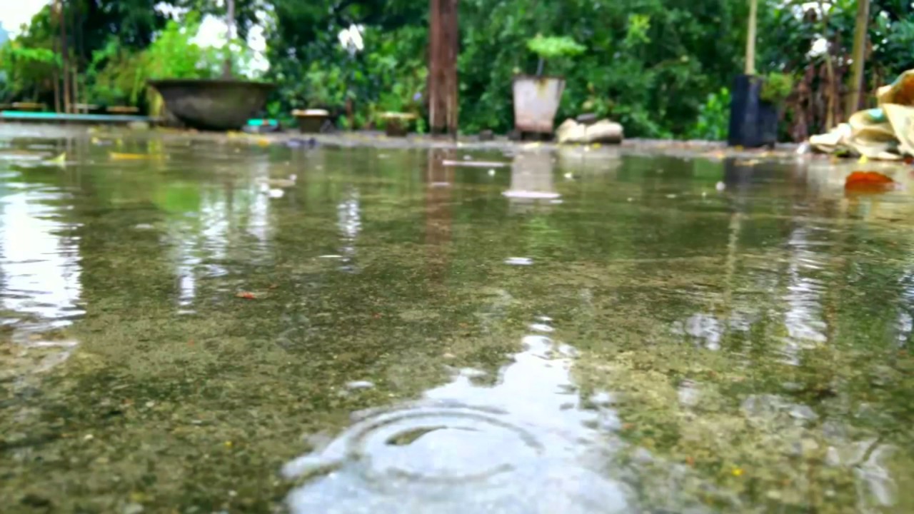 Rain drops |Rain |water wave - YouTube