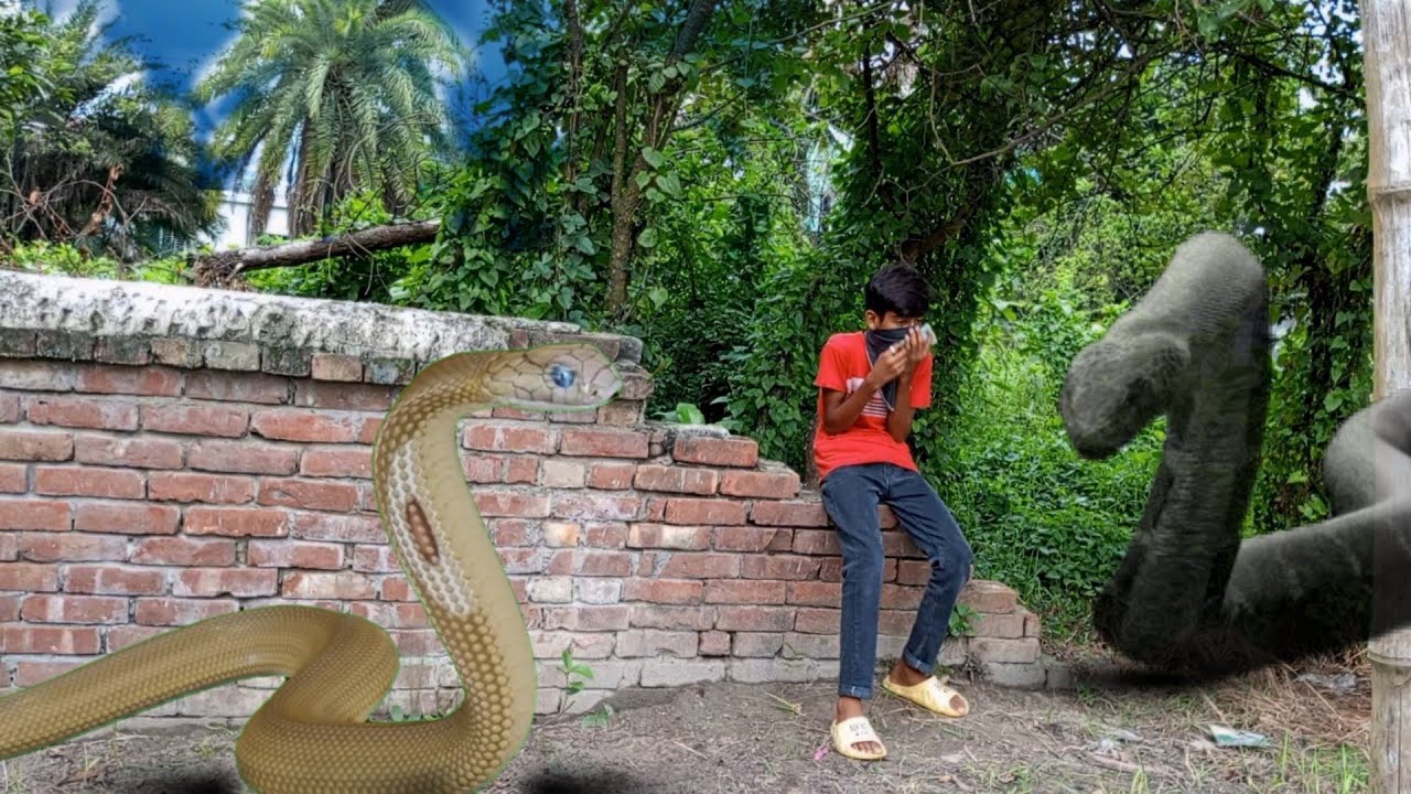 Big Anaconda Snake Attack in Real Life HD Video Part 3 || snake video ...