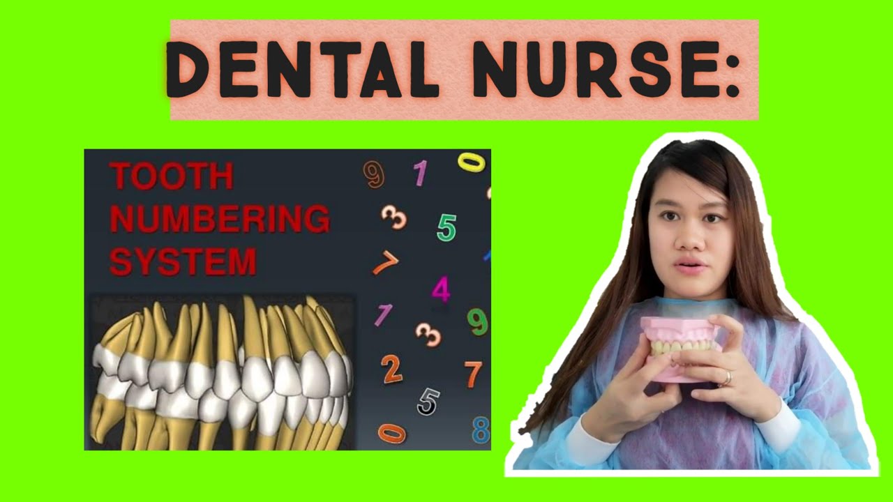 DENTAL NURSE : TOOTH NUMBERING SYSTEM / BASIC CHARTING / TAGALOG ...