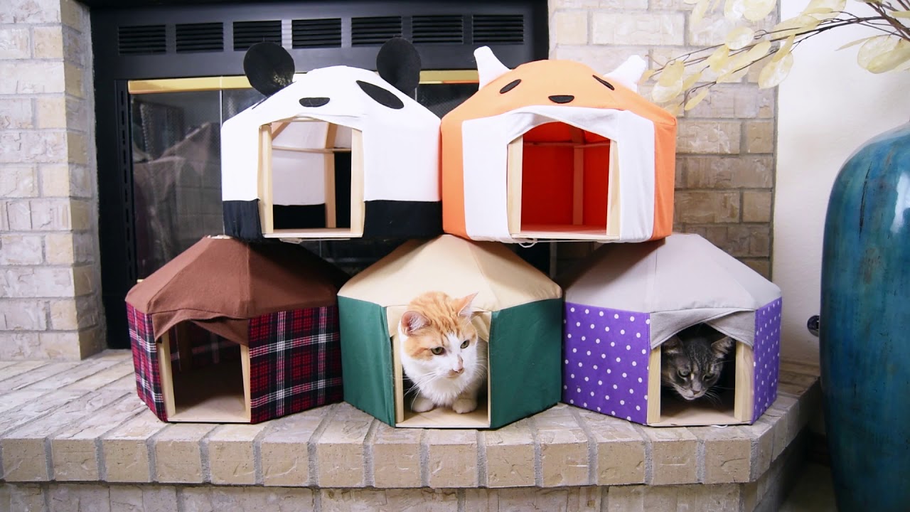 NEW! Cat yurts from Tree Wise PETS - YouTube