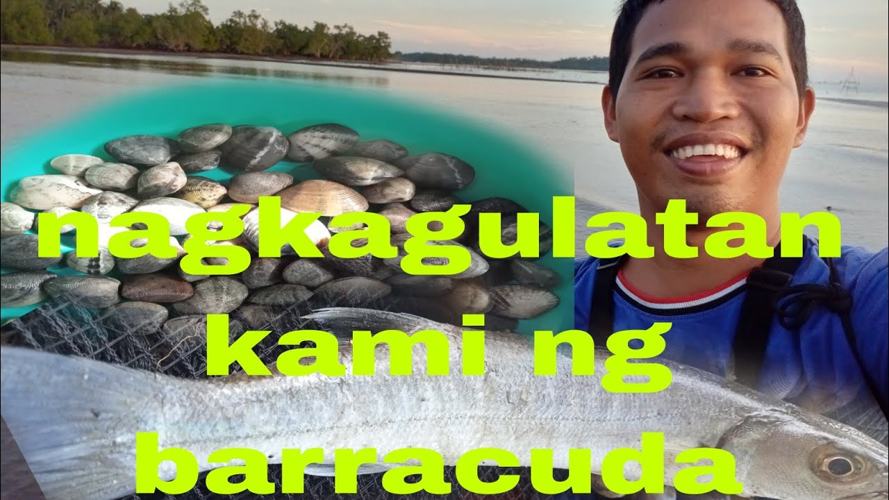 she'll hunting and barracuda hunting in Palawan Philippines/ Lerry Suza ...