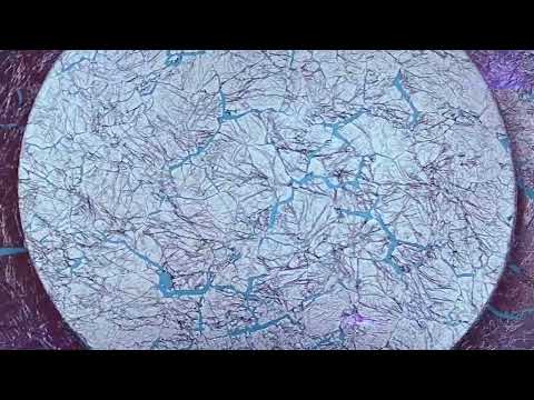 Chrome Lungs - Edge City