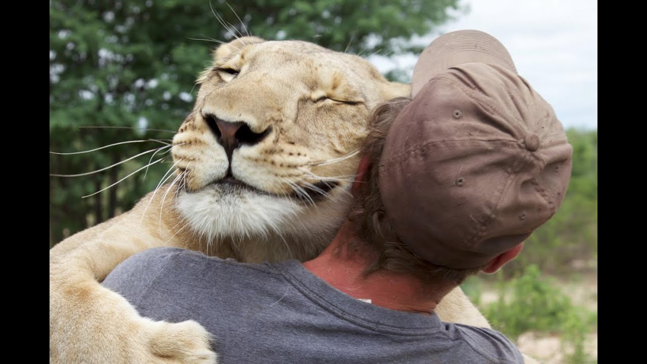 The Foster Father and the LION CUB - YouTube