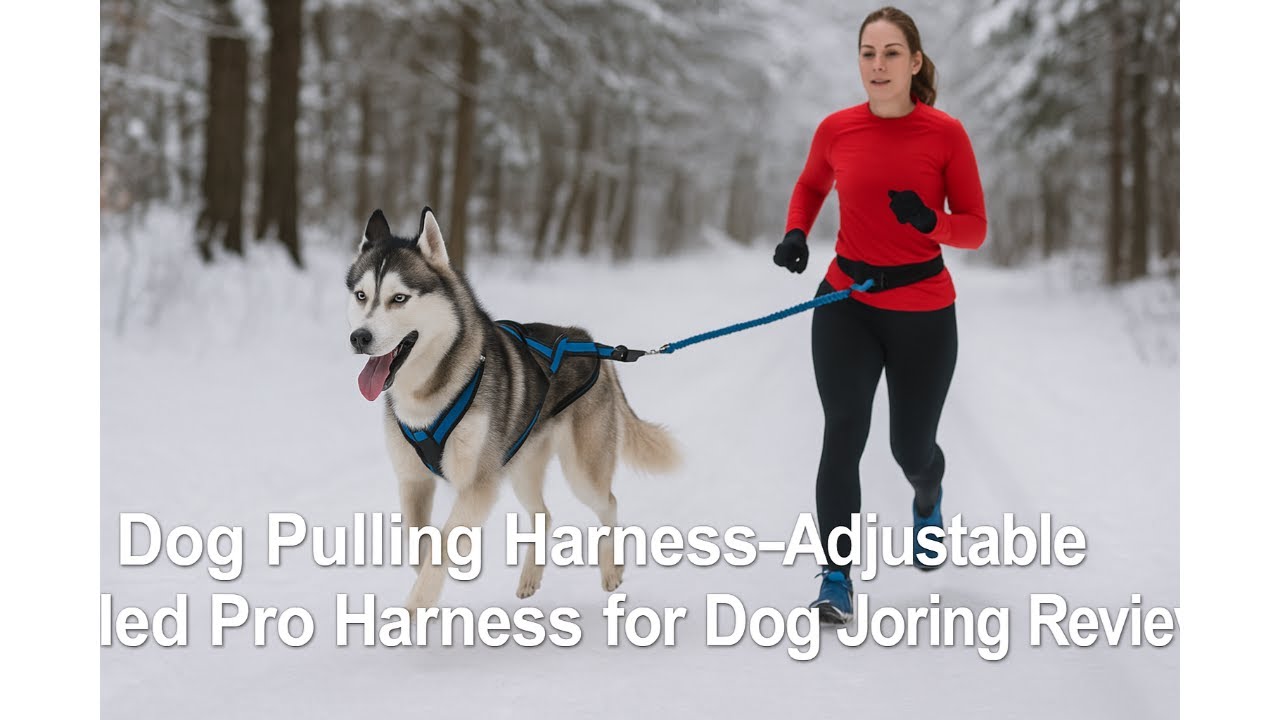 🐕 Dog Pulling Harness, Adjustable Sled Pro Harness for Dog Joring ...