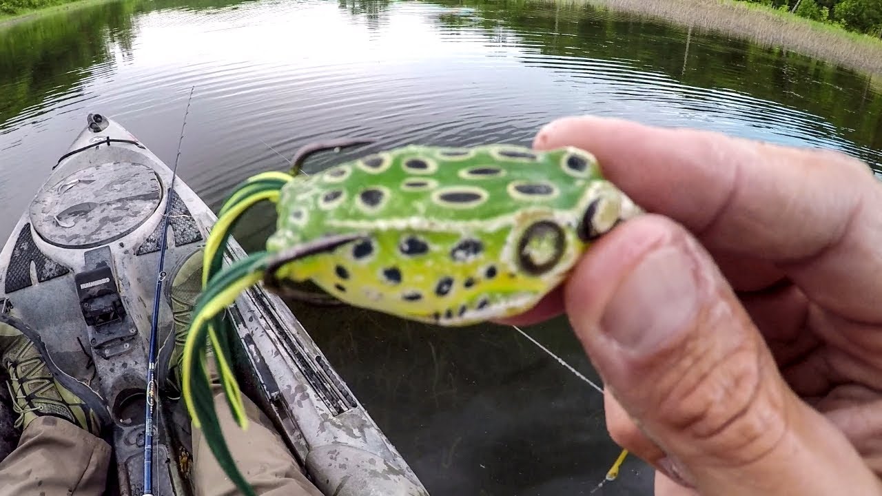 A Relaxing Day Of Frog Explosions - YouTube