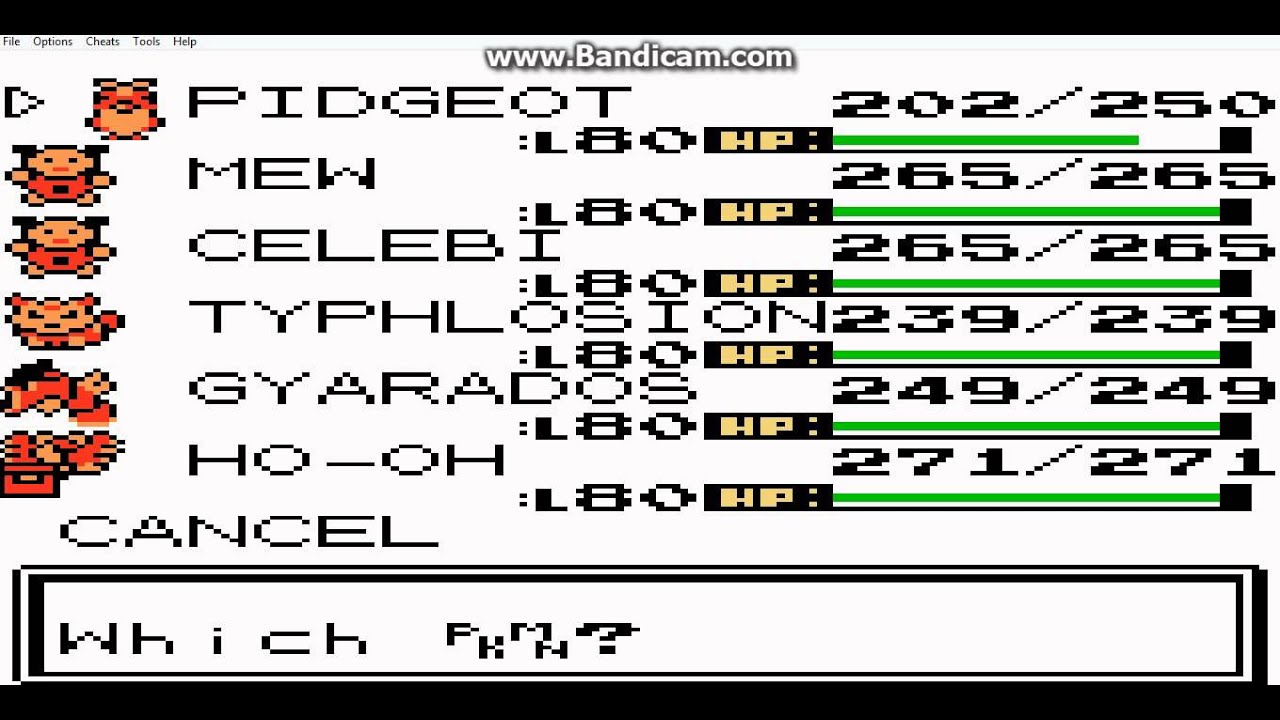 Pokemon Gold - Fighting Bruno - YouTube
