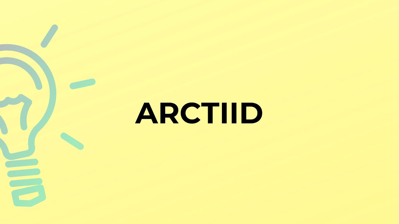 What is the meaning of the word ARCTIID? - YouTube