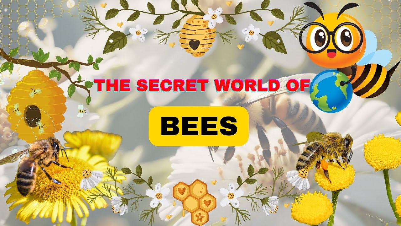 The Secret World of Bees - YouTube