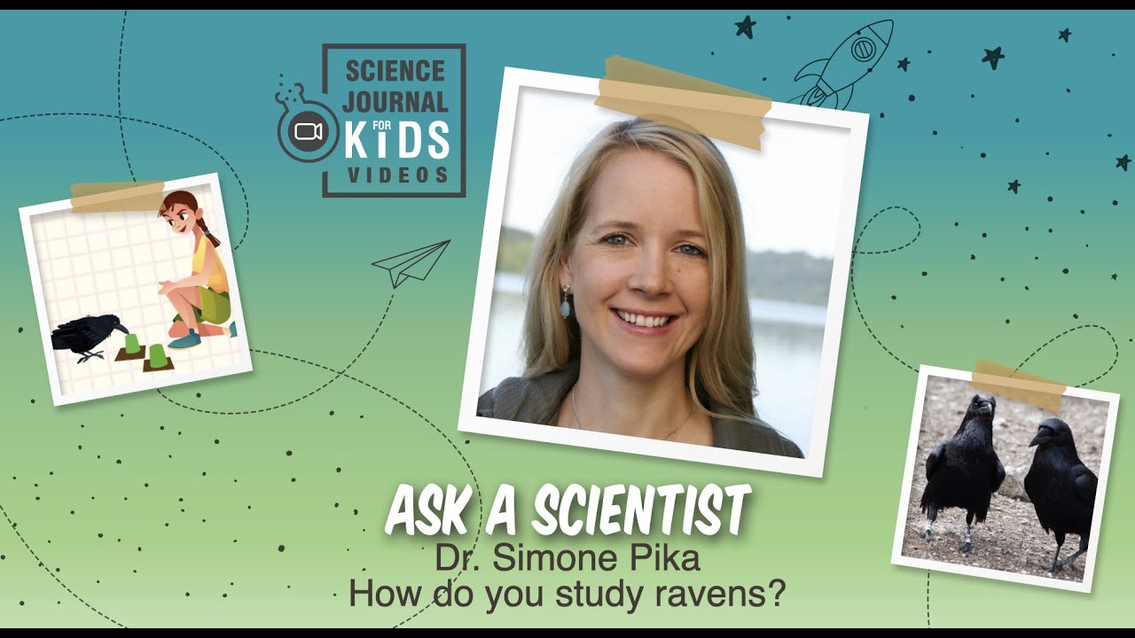 Ask a Scientist: Dr. Simone Pika - How do you study ravens? - YouTube