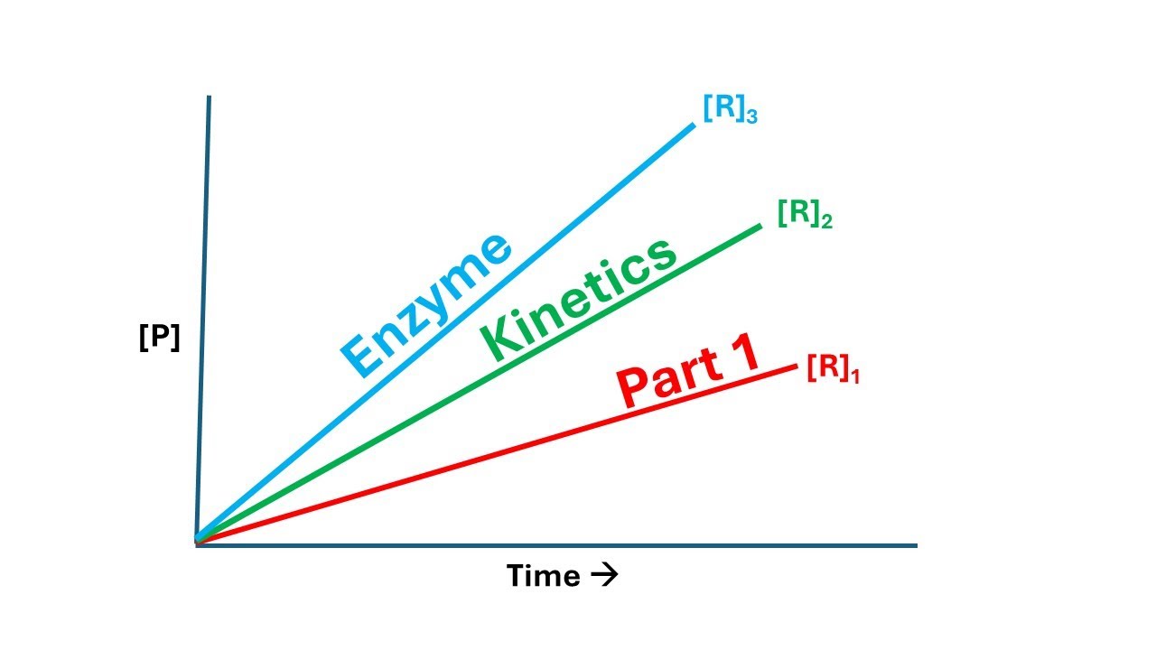 Enzyme Kinetics, part 1: Kinetics Review - YouTube
