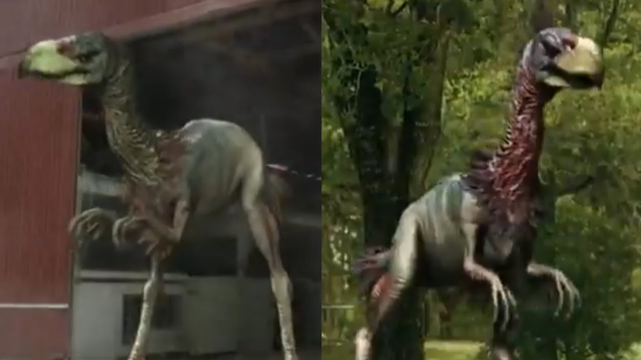 Terror Birds [2016] - Terror Bird / Titanis Screen Time - YouTube
