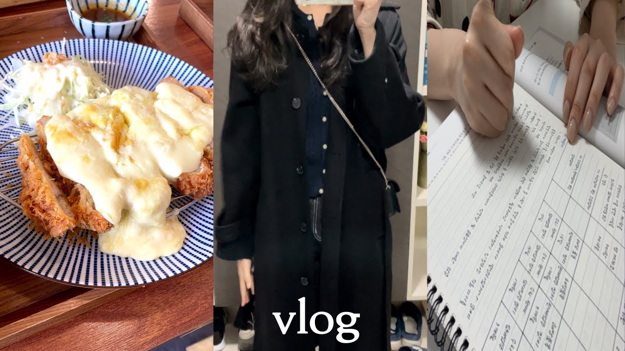 Vlog 직장인 일상 브이로그 다시 퇴근하고 공부하는 갓생 도전하는 일상 데일리룩떡국워크룸커피브라우니피자스쿨새