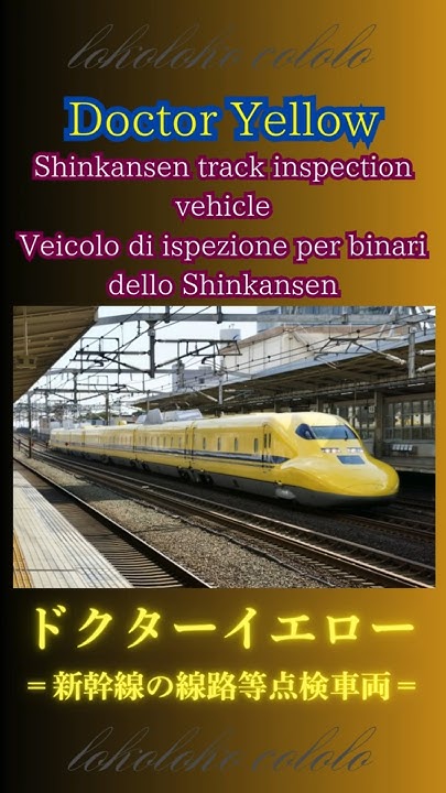 Journey Through Japan's Wildlife☆Extra Treat - Doctor Yellow Shinkansen Journey #shorts - YouTube