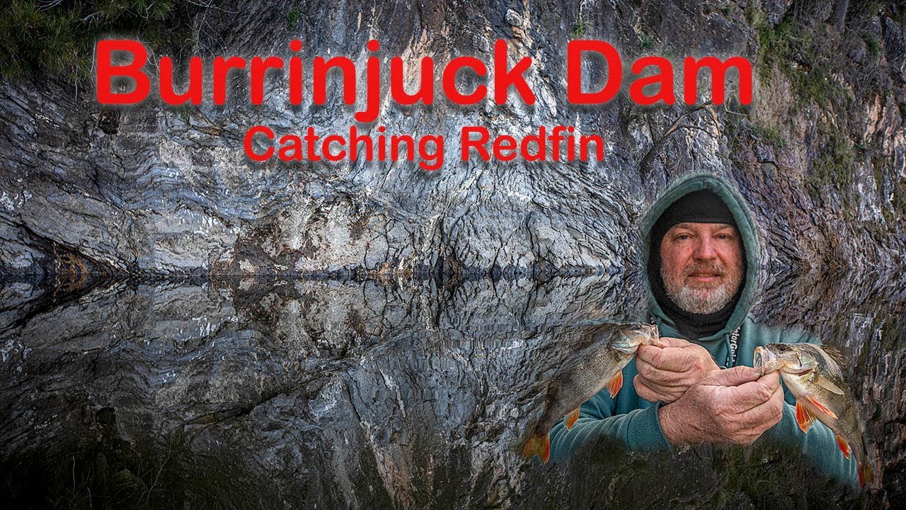 Burrinjuck Dam #2 catching Redfin Perch. - YouTube