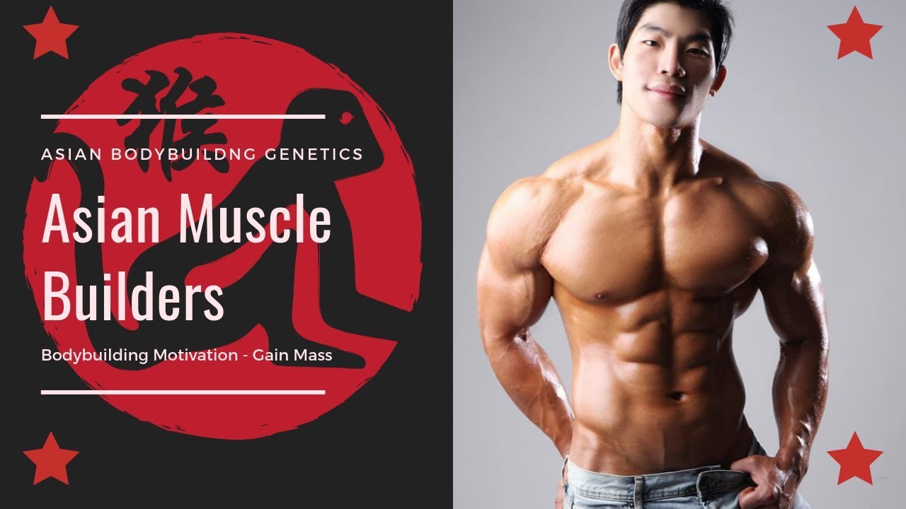 Asian Bodybuilding Genetics | Asian Muscle Builders | Bodybuilding ...