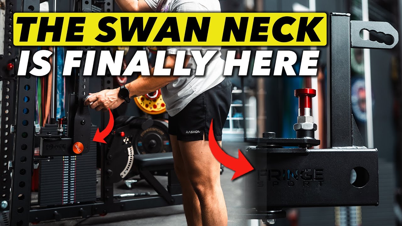You NEED This for Your Mammoth Belt Squat | The Swan Neck Overview ...