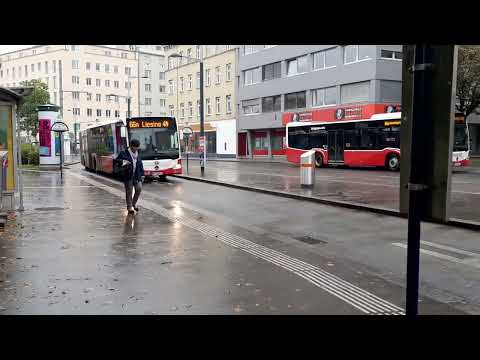 Autobus Linie 66A Reumannplatz in Wien