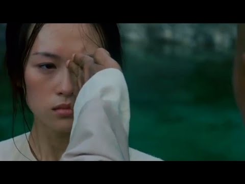 Crouching tiger hidden dragon fight || Crouching tiger hidden dragon ...