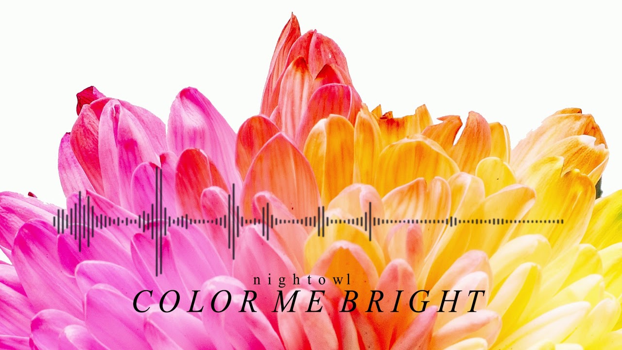 nightowl - Color Me Bright - YouTube