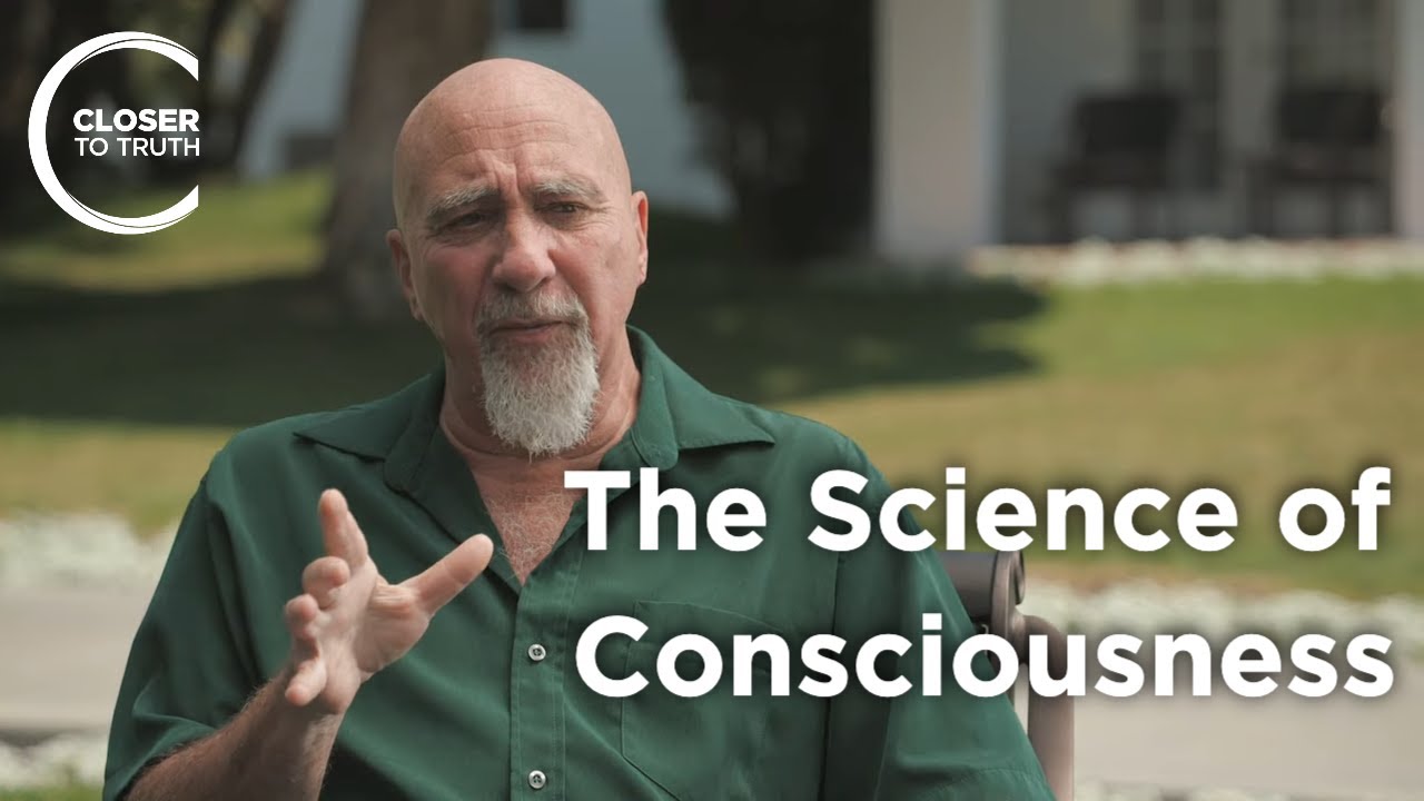 Stuart Hameroff - The Science of Consciousness: Quantum Mechanics and ...