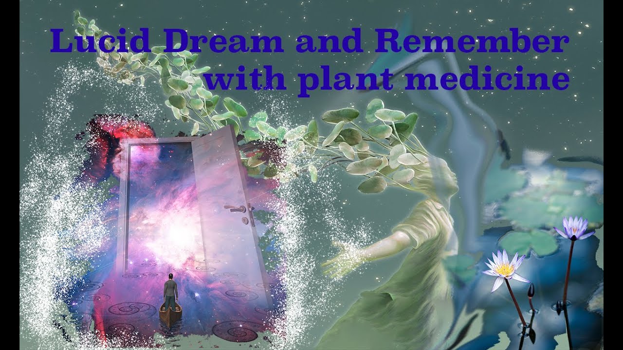 How to Lucid Dream (and remember) in 3 days with natural plant medicine ...