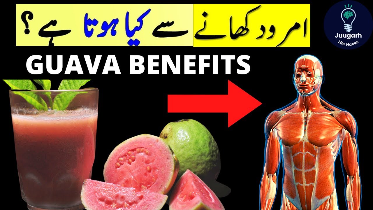 Amrood Khane Ke Fayde | Amrud Ke Fayde | Guava Benefits For Health ...