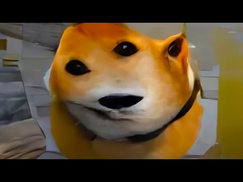 release me - YouTube