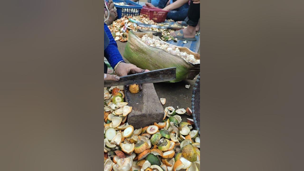 Betel Nut ကွမ်းသီးအခွံခွာနည်း သဲးသၣ် သဘျုၣ် သဘျုၣ်လၣ် Youtube