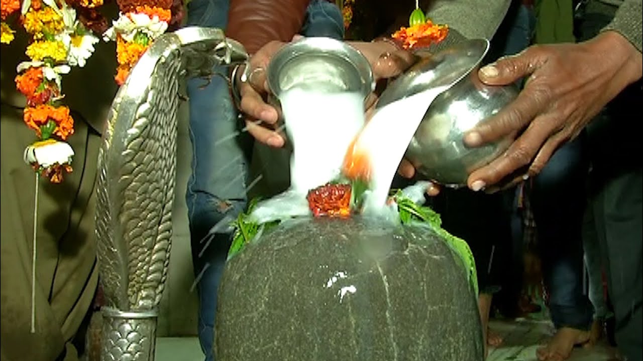 Maha Shivratri 2020: Devotees offering prayers to Lord Shiva - YouTube