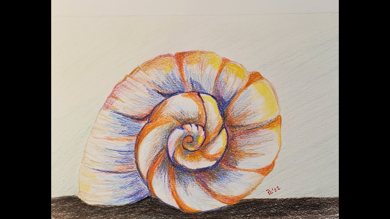 Seashell in colored pencil - YouTube