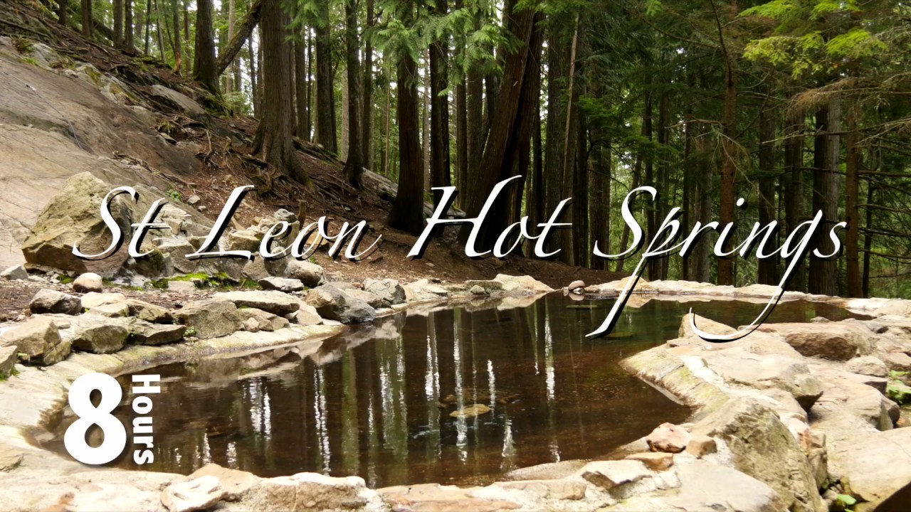 St Leon Hot Springs-natural sound of the forest-gentle wind blowing ...