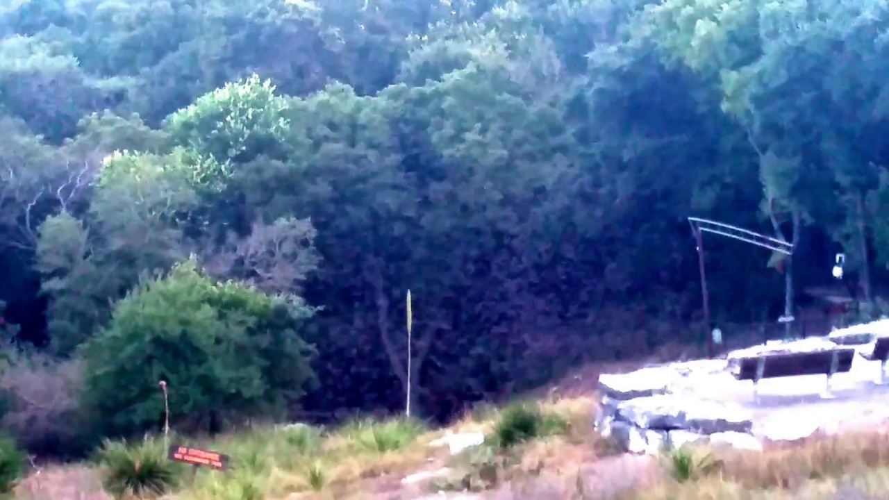 Bats at Old Tunnel State Park - YouTube