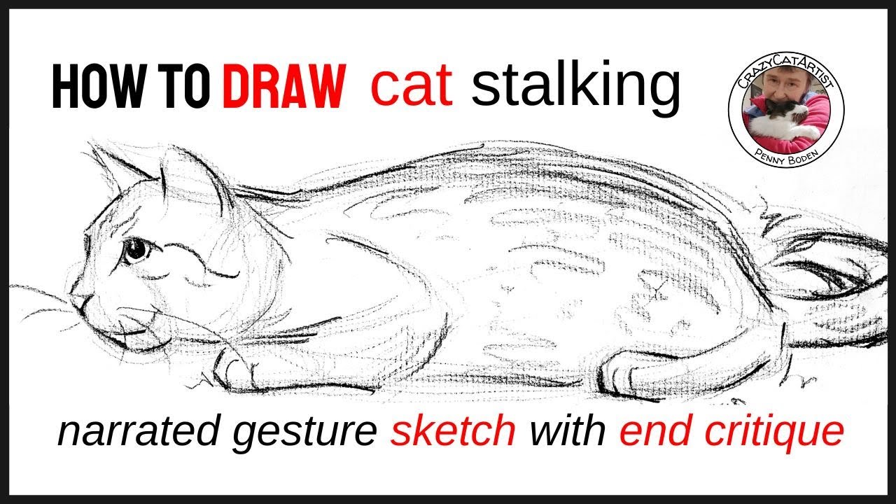 How to Draw Cat Crouching Down Ready to Pounce | Hunting Stalking ...