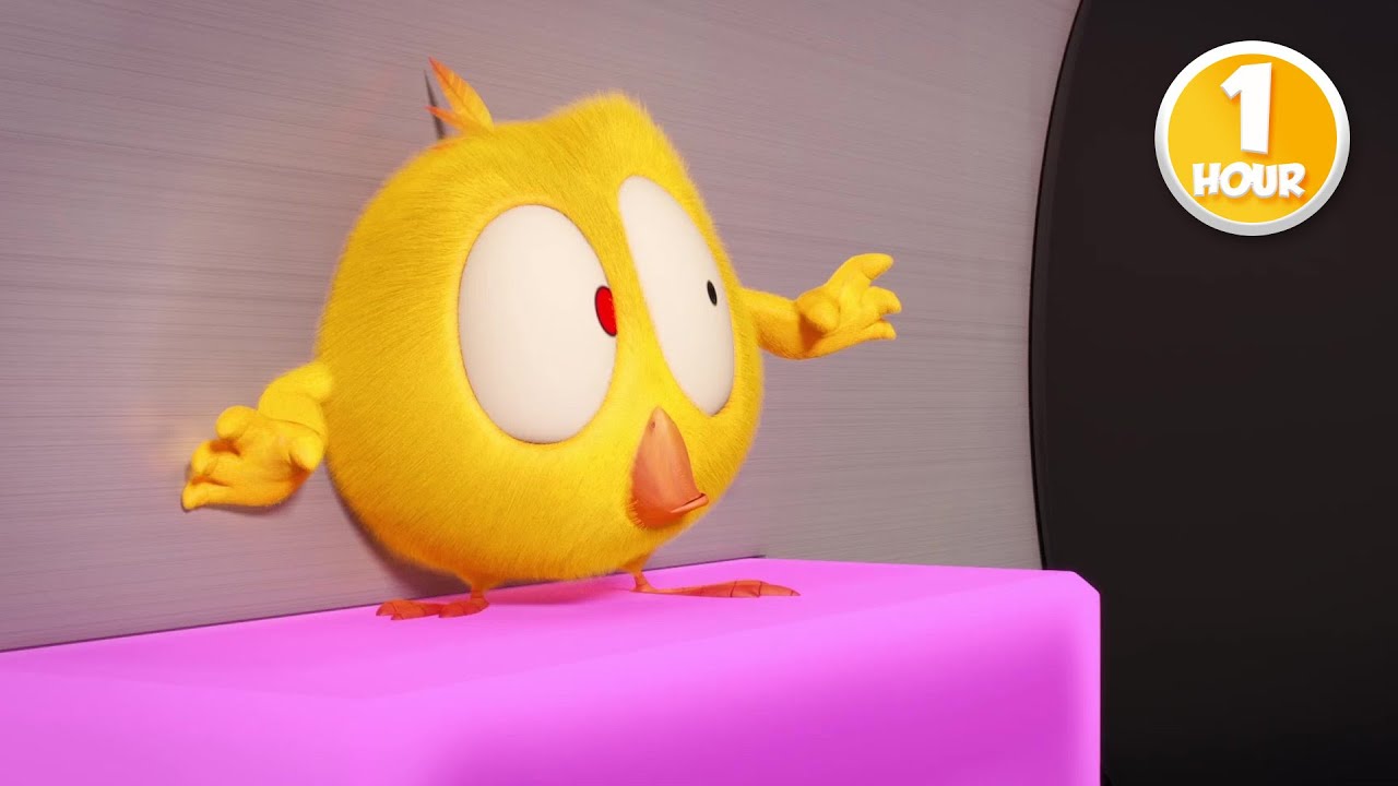 CHICKY | Run, Jump & Play! | 1H Compilation | KIDS & FAMILY CARTOON ...