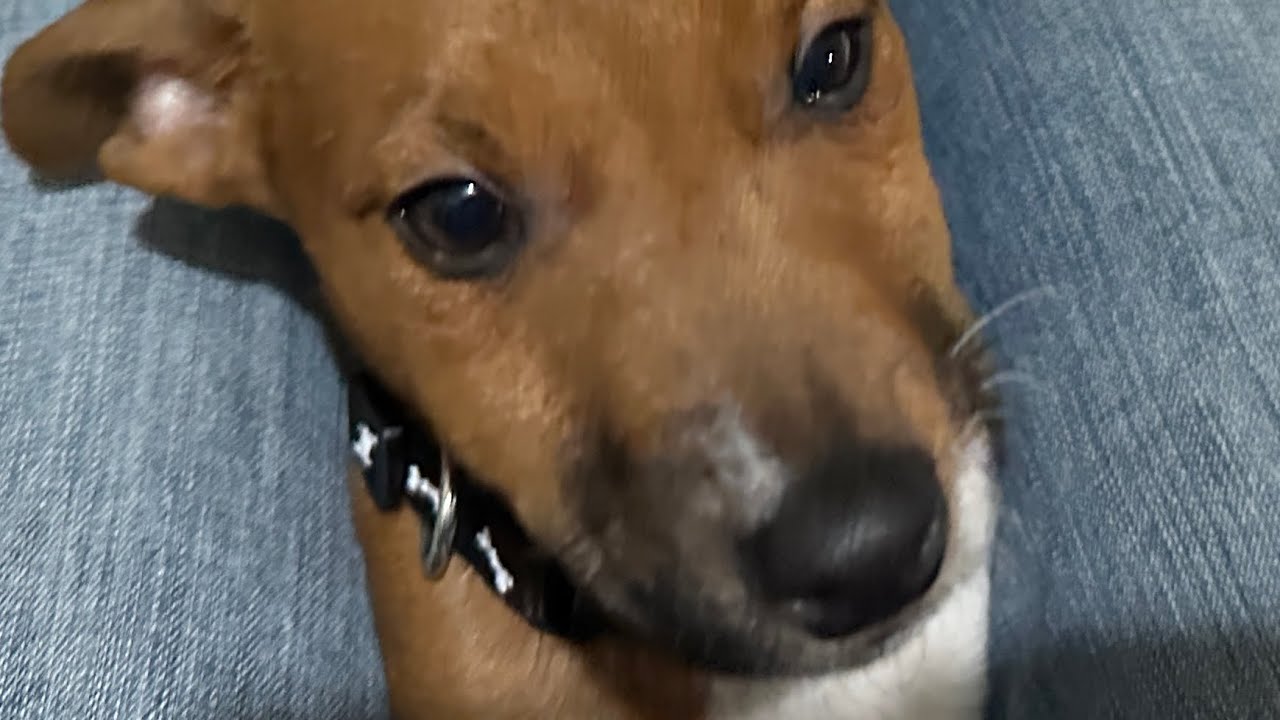 Osito no quiere estar solo .Nunca hubiera podido darle eso. - YouTube