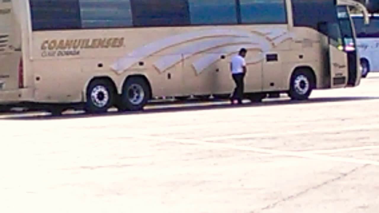 Dos Autobuses de Senda Coahuilenses y dos de Sendor en Six Flags Fiesta ...