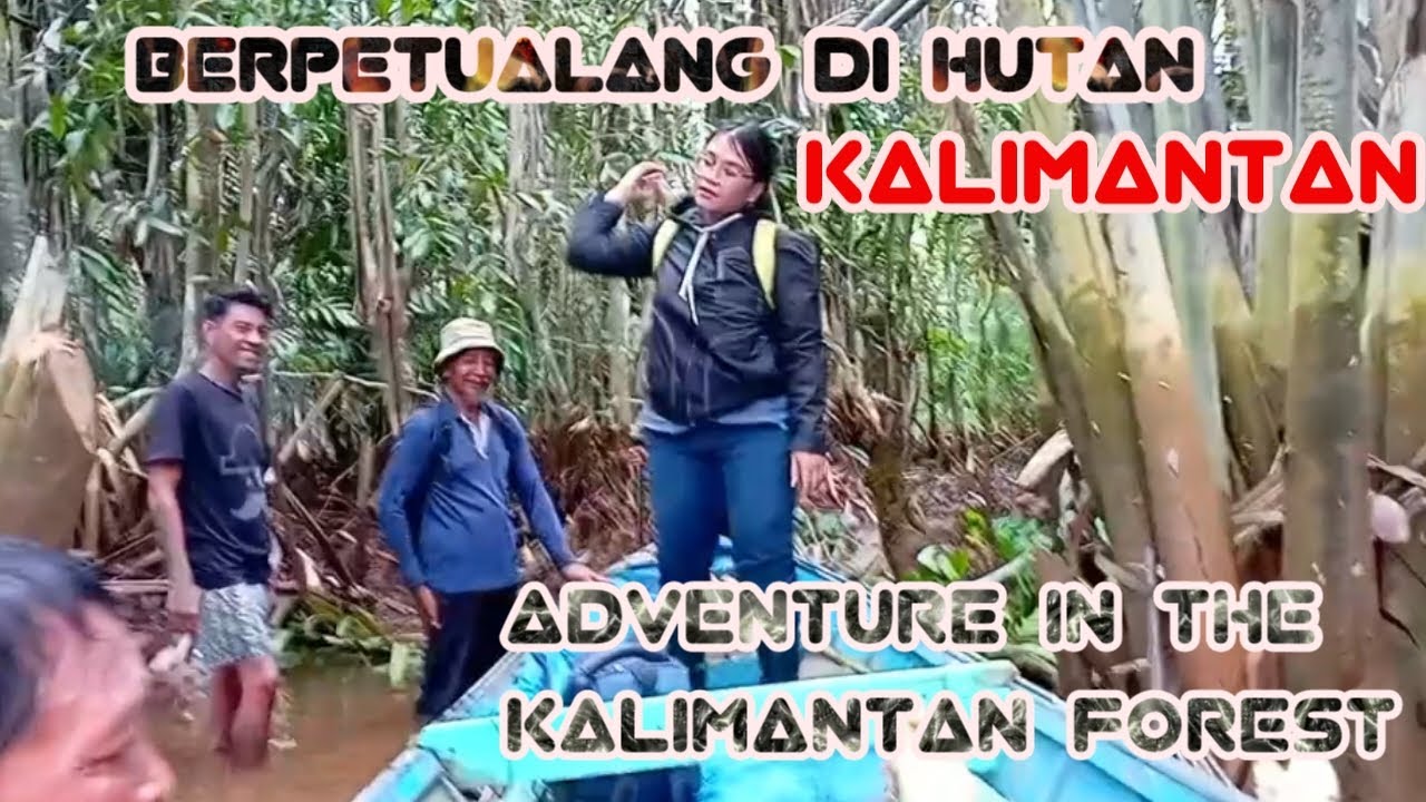 Adventure in the Kalimantan forest || Berpetualang di hutan Kalimantan ...