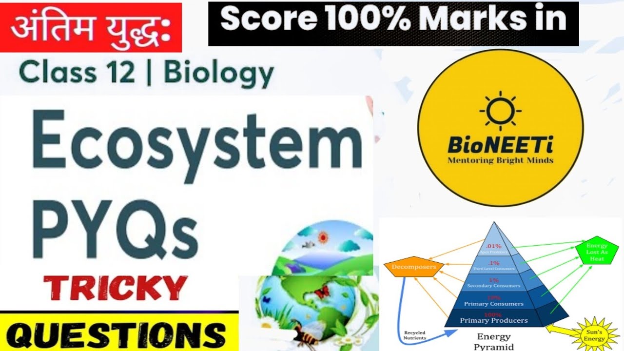 CBSE Class 12 Ecosystem PYQ Most Important Questions For 2024 NEET ...