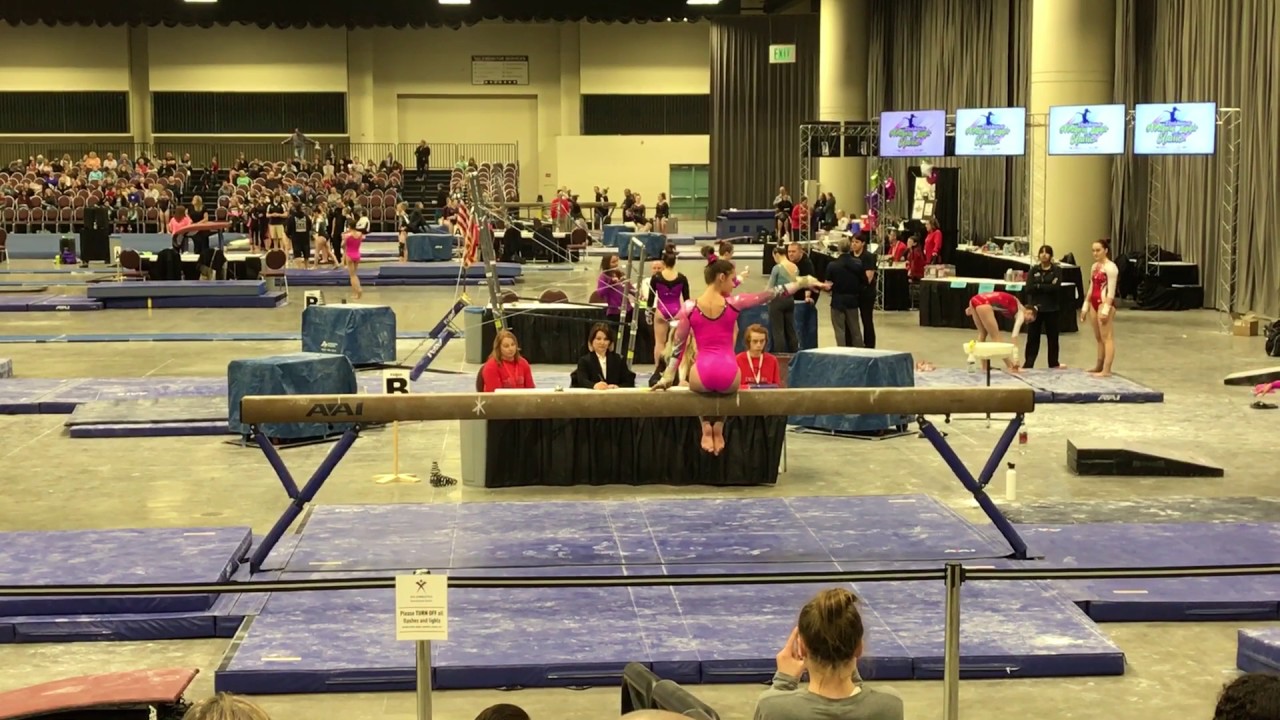 Elizabeth Mellinger, Triad Gymnastics level 10, Beam @ Northern Lights ...