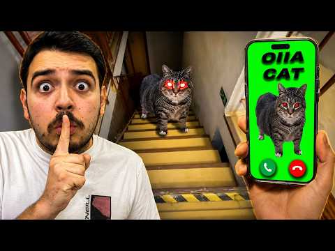 UMUT KEVSER OİA CAT EVİMİZİ DAĞITTI !!