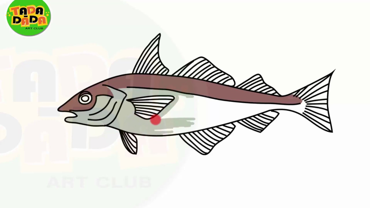 How to draw and paint HADOCK FISH | STEP BY STEP | TADA-DADA Art Club ...