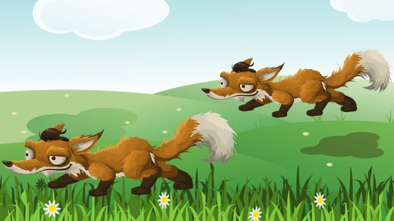 Suara binatang rubah | fox beast sounds - YouTube