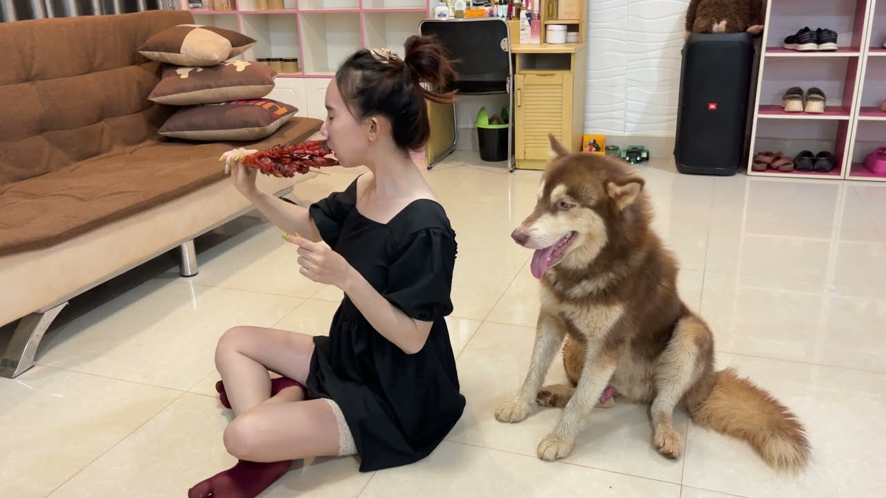 Aww!!Kwan Vs TOTO 😂,Kwan SUPER PRANK TOTO,finally what's happen?When ...