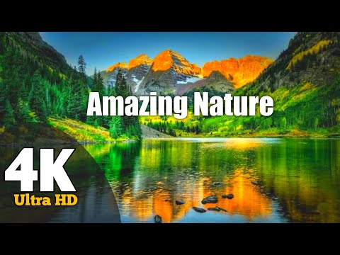 Forest 4K 2023 - Natural Wonders with Peaceful Relaxing Music and Meditation