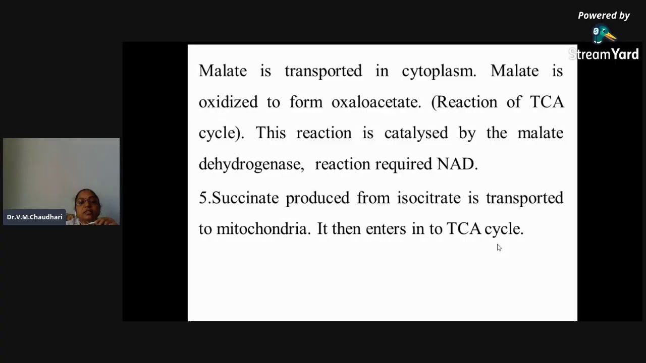 Reverse TCA Cycle - YouTube