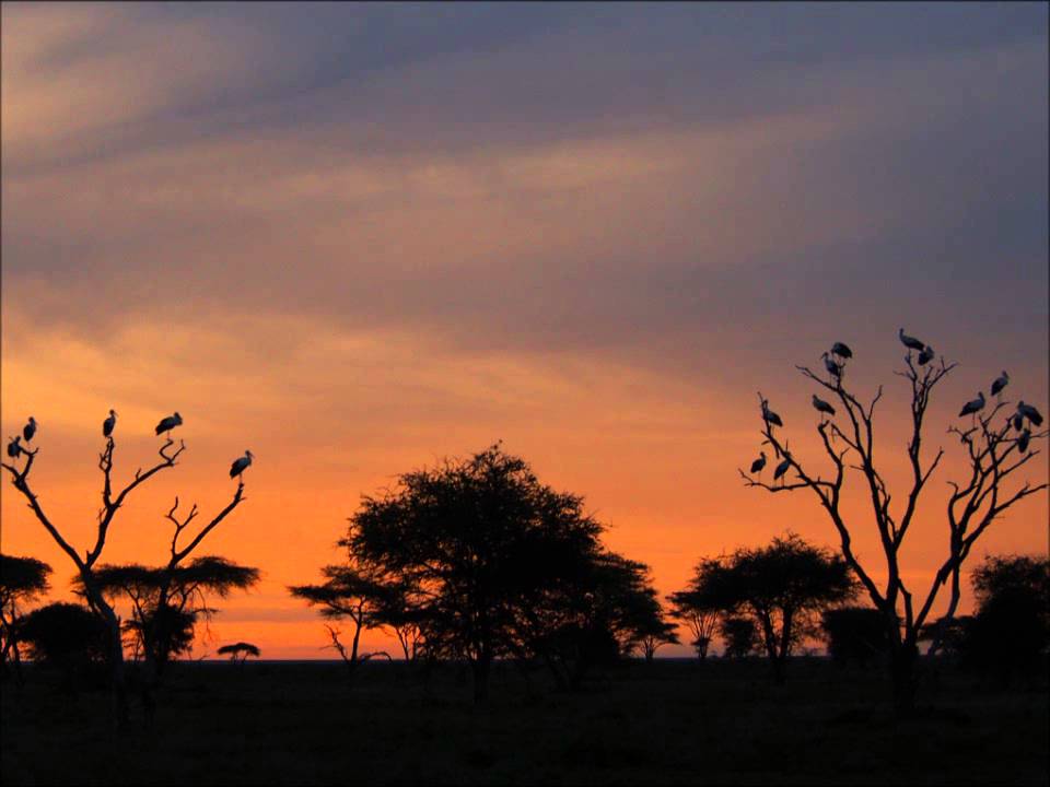 Passive Relaxation Practice - YouTube