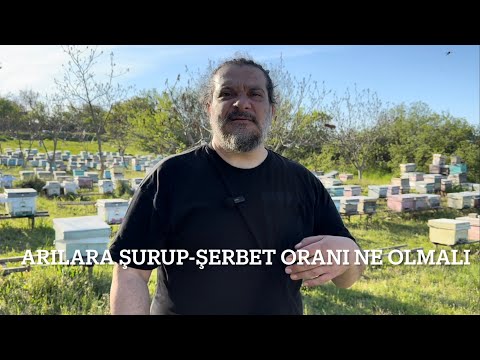 ARILARDA DOĞRU ŞURUP-ŞERBET ORANI