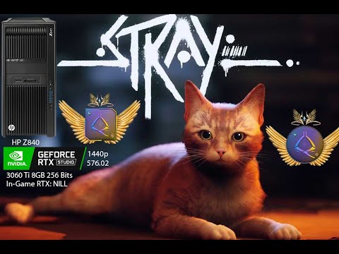Stray Cat Gameplay Prologue [HP Z840 - RTX 3060 Ti, 576.02, Studio ...