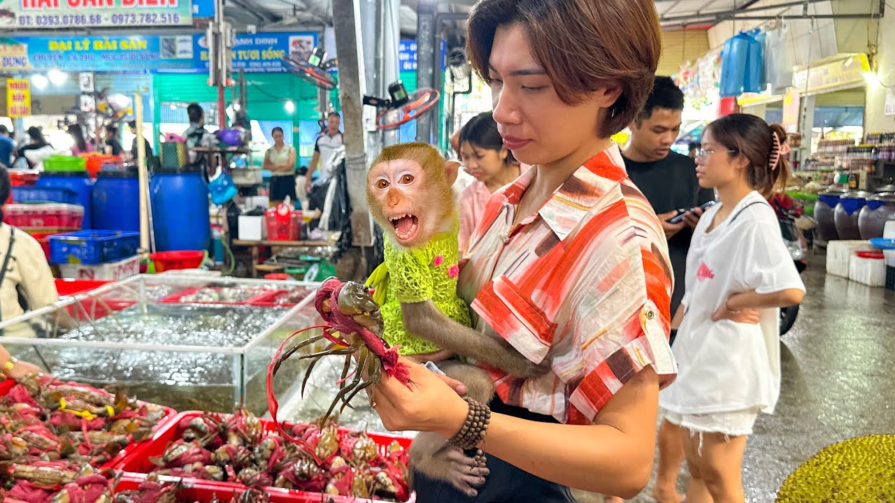 Monkey Kaka's Fun Day Out: Shopping at the Market with Mom - YouTube